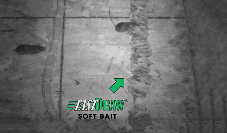 FastDraw Soft Bait